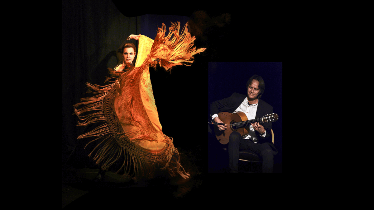 Maitland Museum Becomes Global Stage for FREE Latin Arts Festival ...